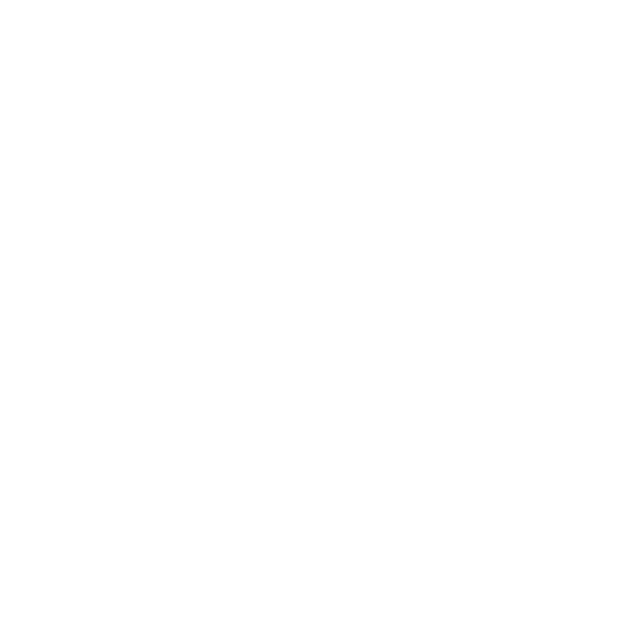 Free Walkability Assessment || Retail Strategies